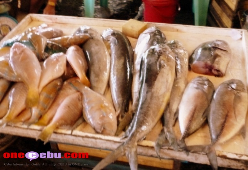 Pasil Wet Market in Cebu - OneCebu.com